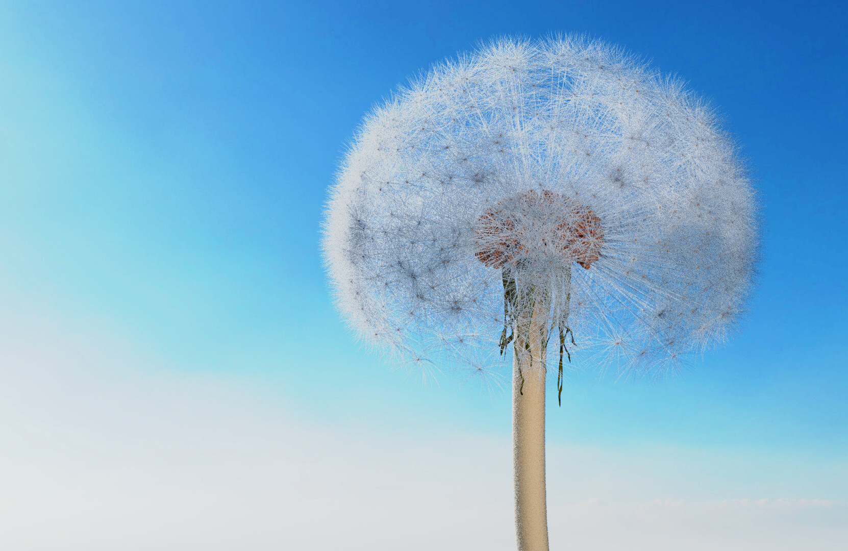 ArtStation - Dandelion Render