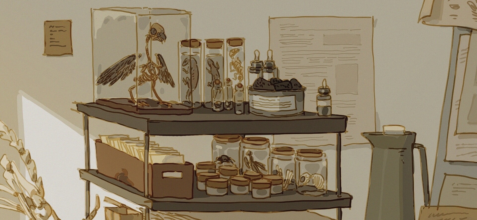 Xi Zhang - Collections