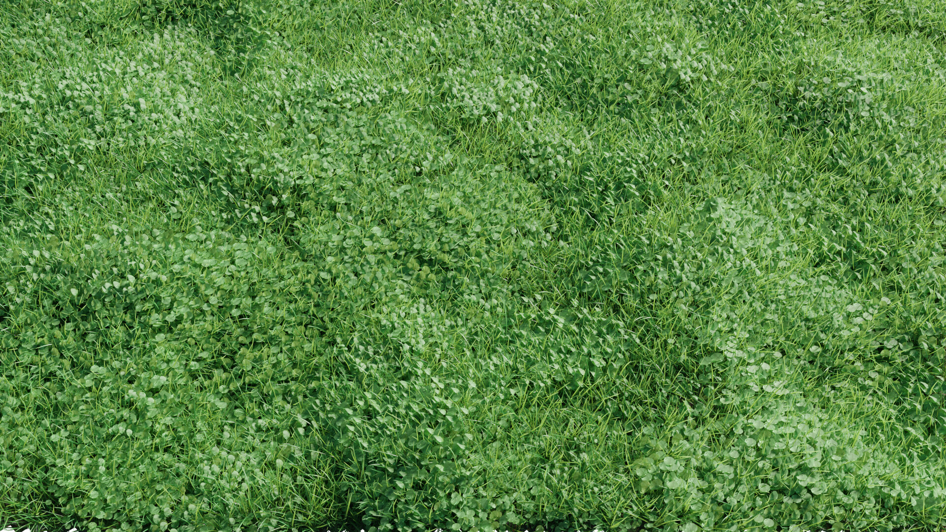 ArtStation - Grassy Field