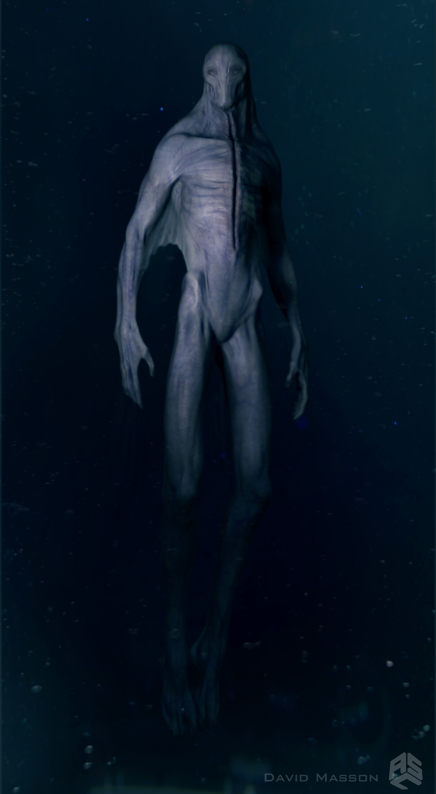 DAVID MASSON SAN GABRIEL - Underwater Creatures