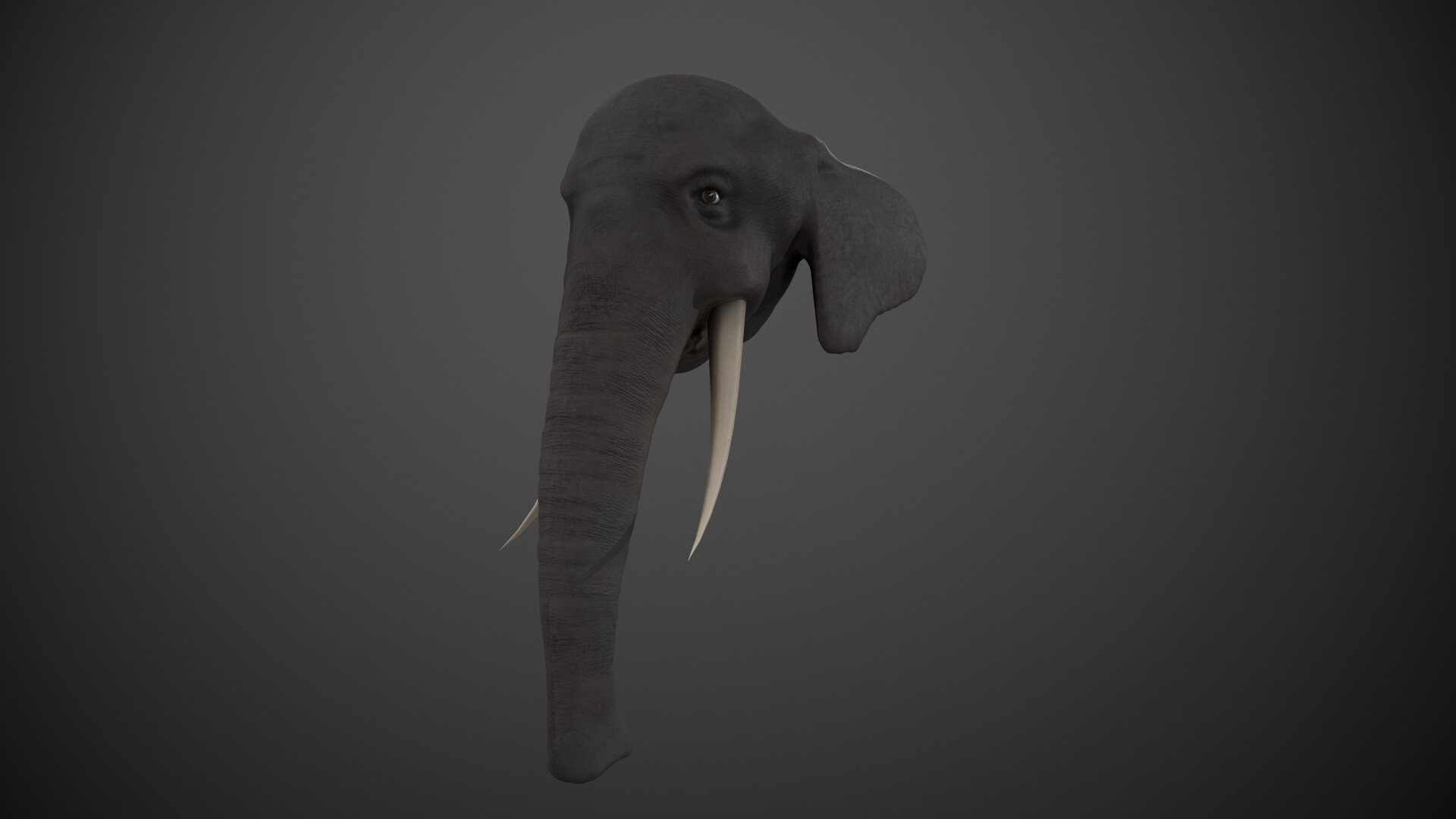 ArtStation - Elephant Head (WIP)