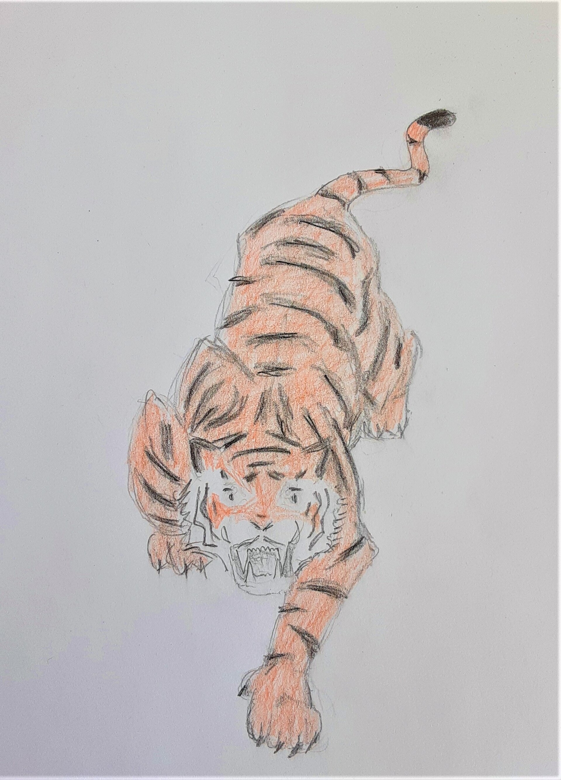 ArtStation - Cunning