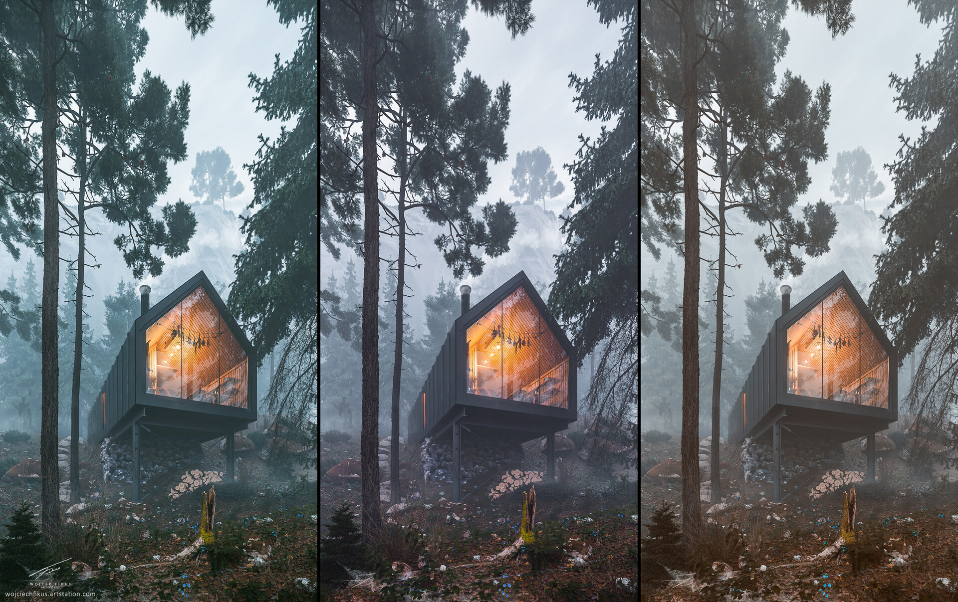 Wojtek Fikus - Mirkwood Shelter