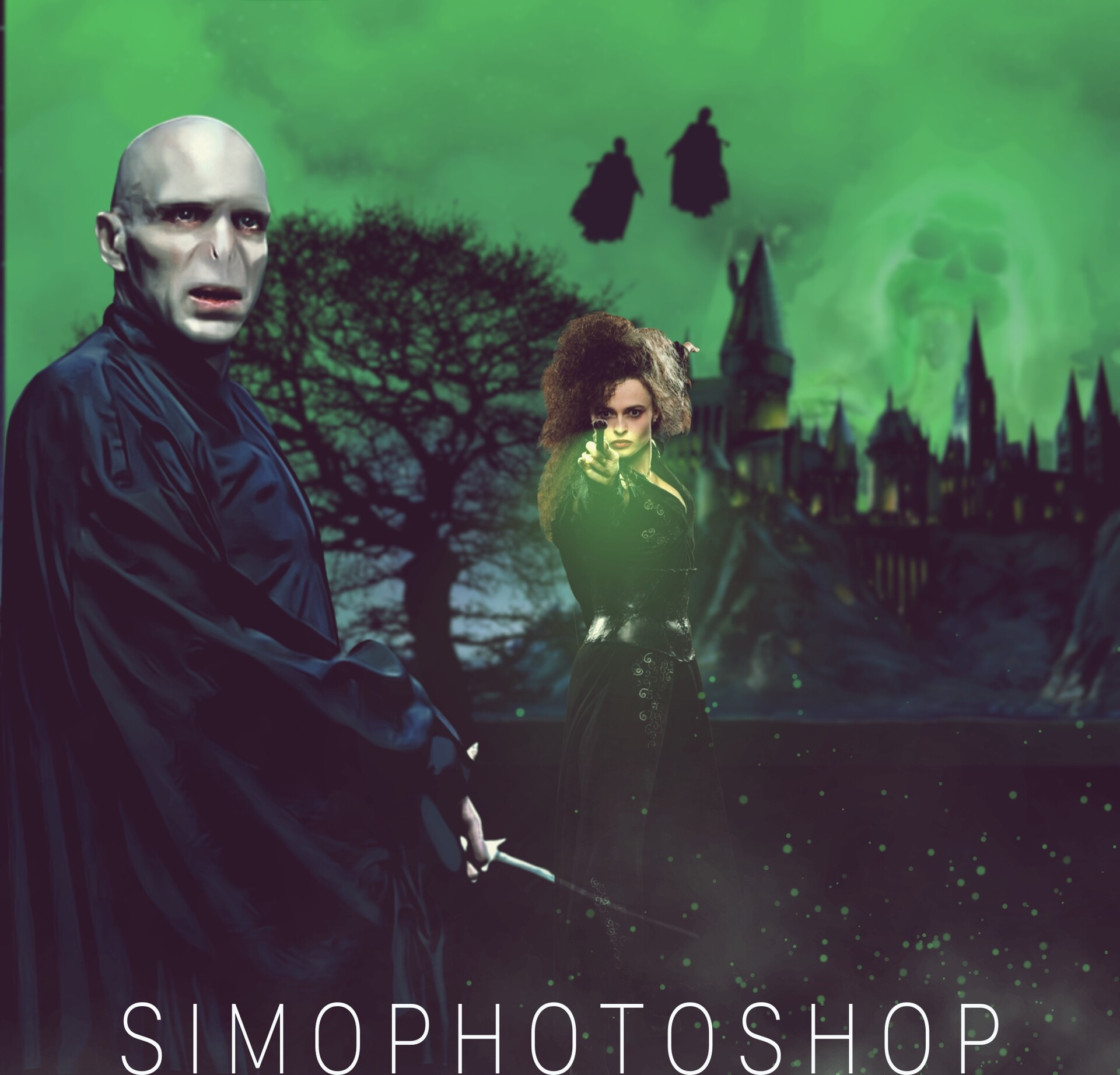 Bellatrix And Voldemort