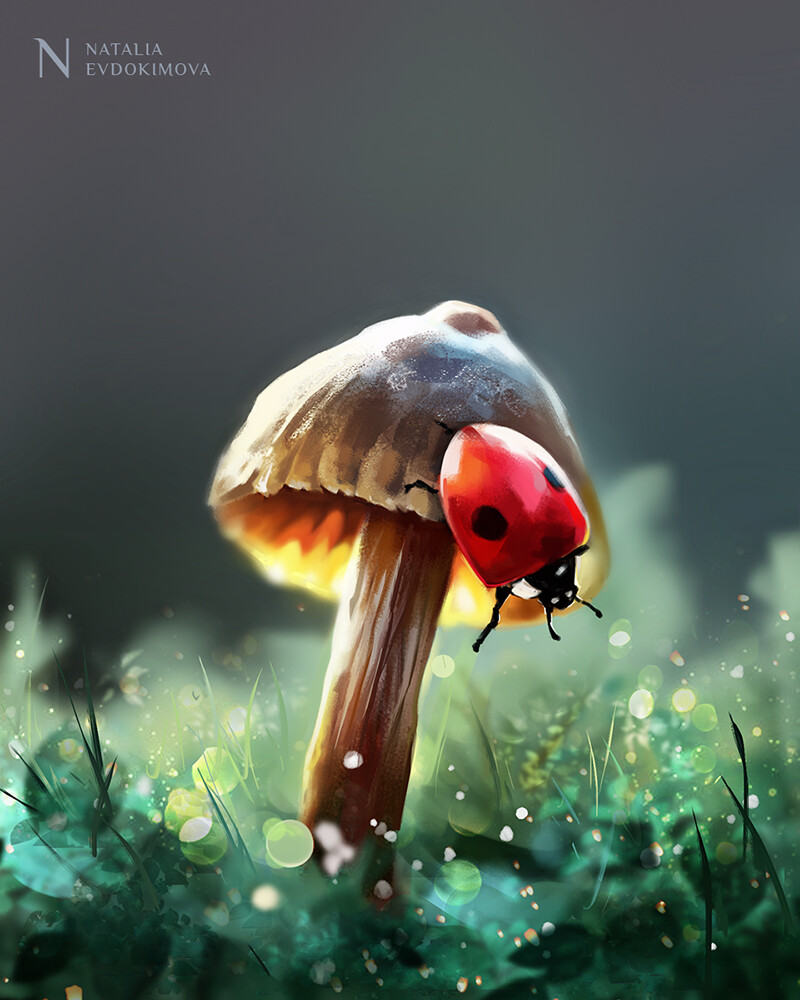 ArtStation - Mushroom