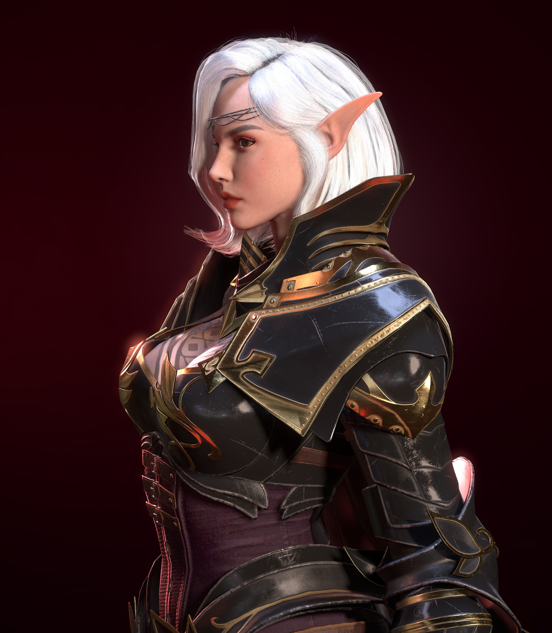 ORR - Dual Sword Elf