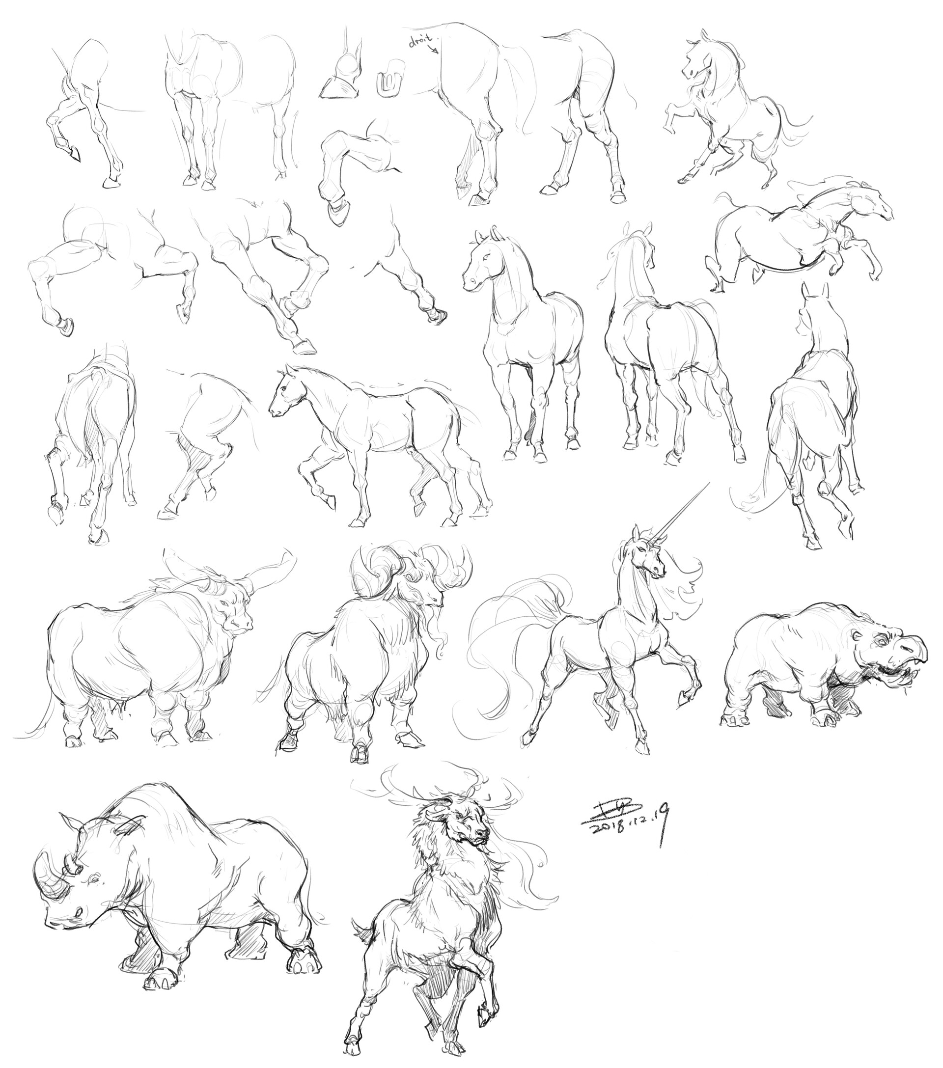 ArtStation - Morphology study 2018