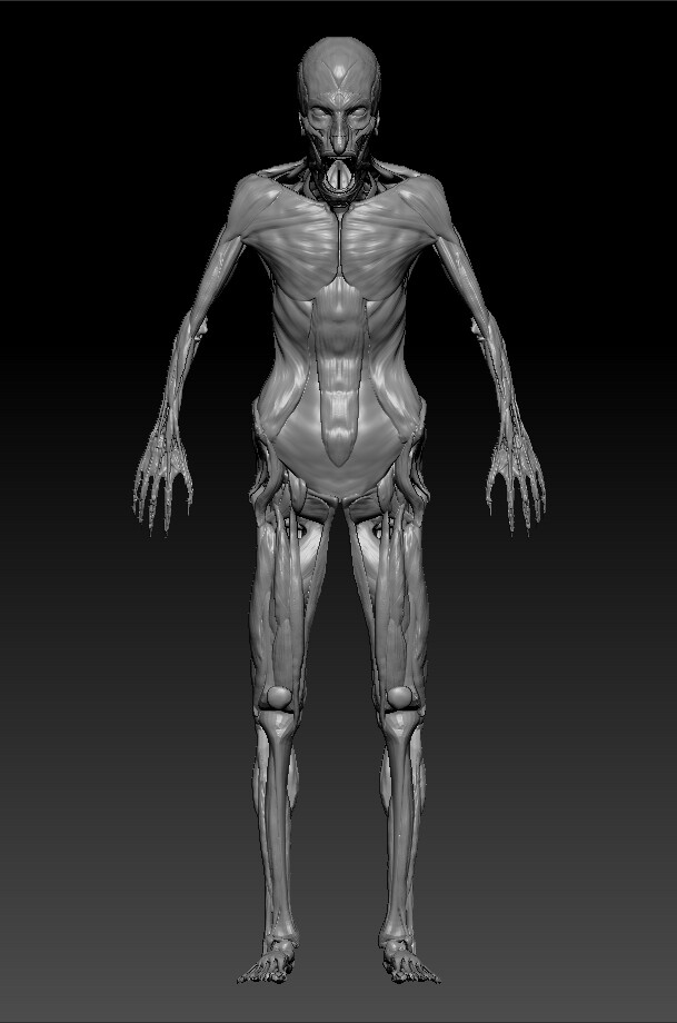 ArtStation - Witch (Hag) full body muscles