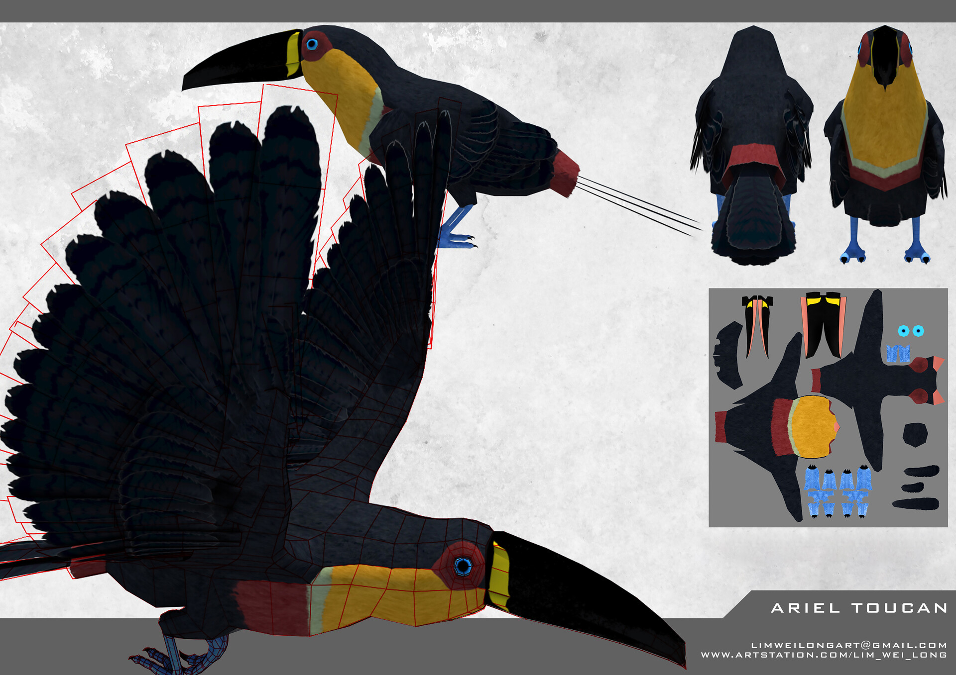 ArtStation - Ariel Toucan Model