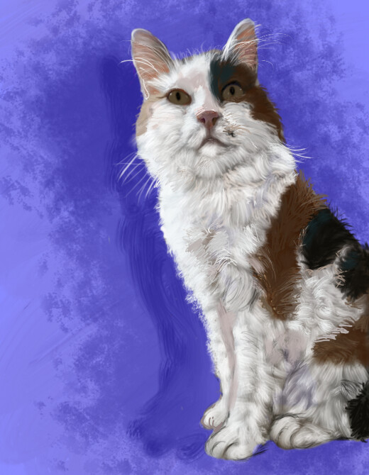 ArtStation - Quick Painting of Mogwy