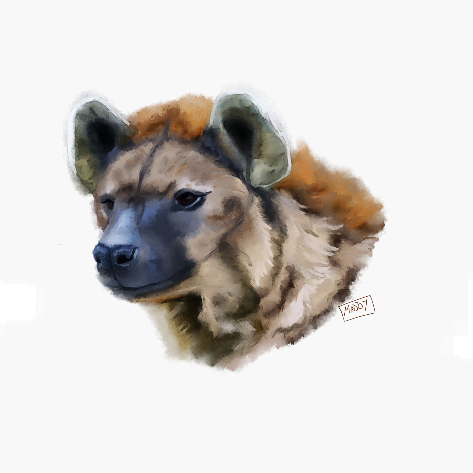 ArtStation - Spotted hyena