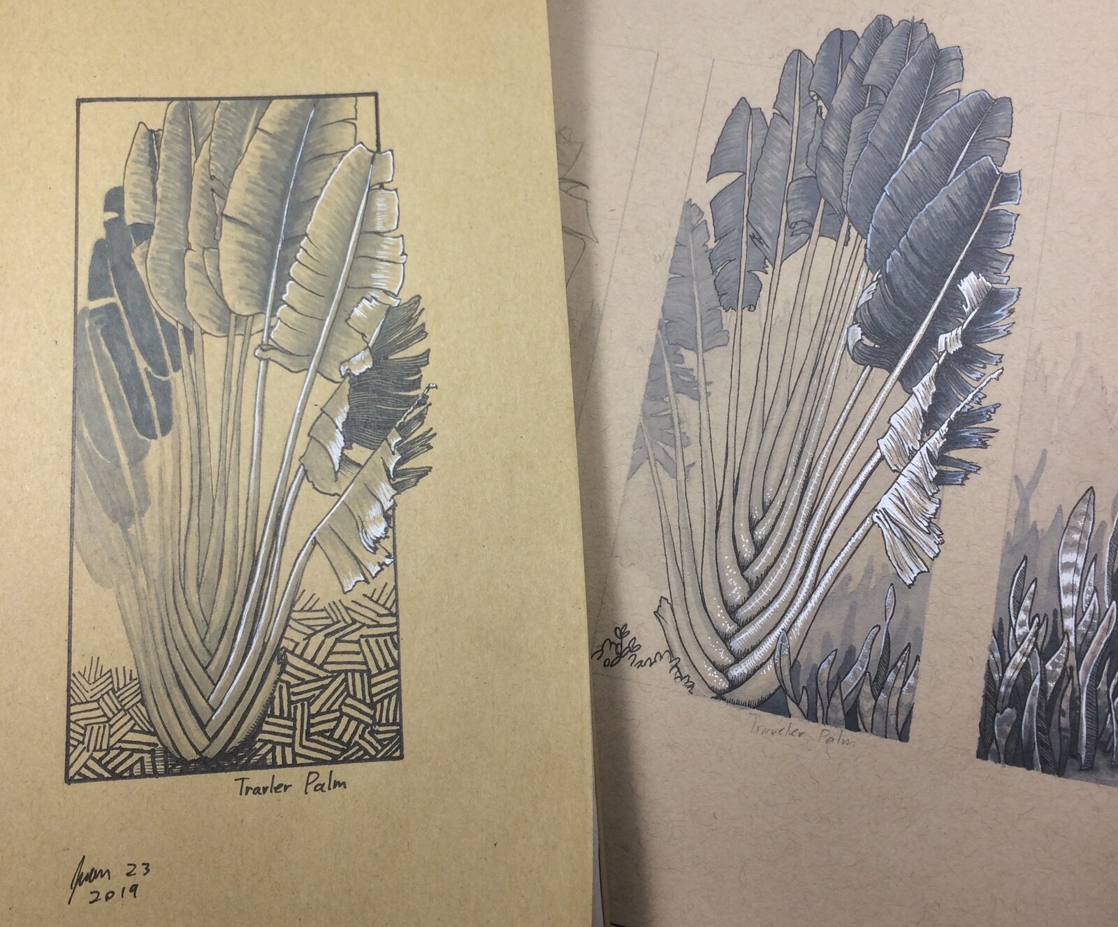 Jeff McArthur (Guategeek) - Tropical Triptych