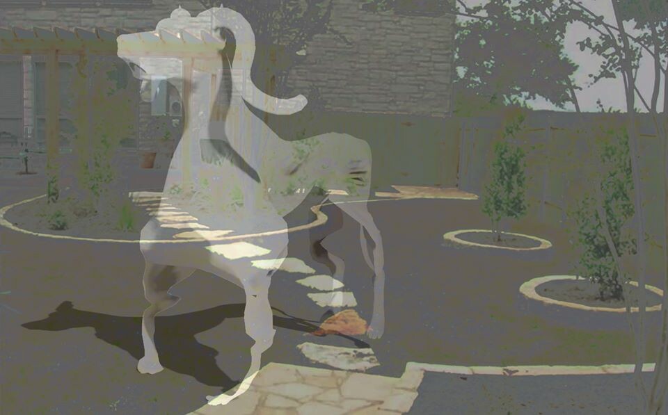 ArtStation - Perro mutante con cuernos