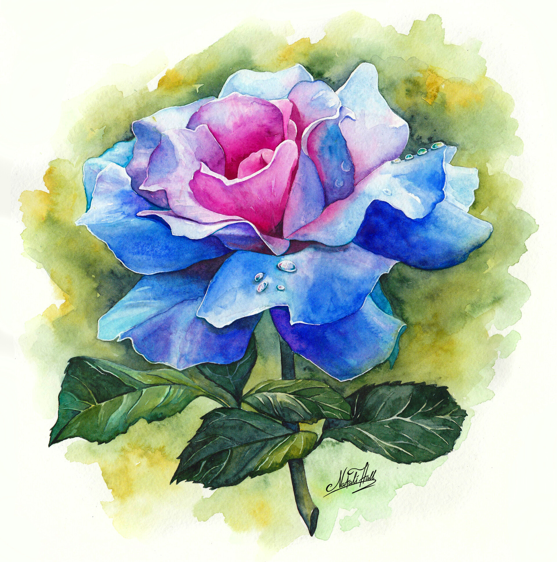 ArtStation - Blue Rose