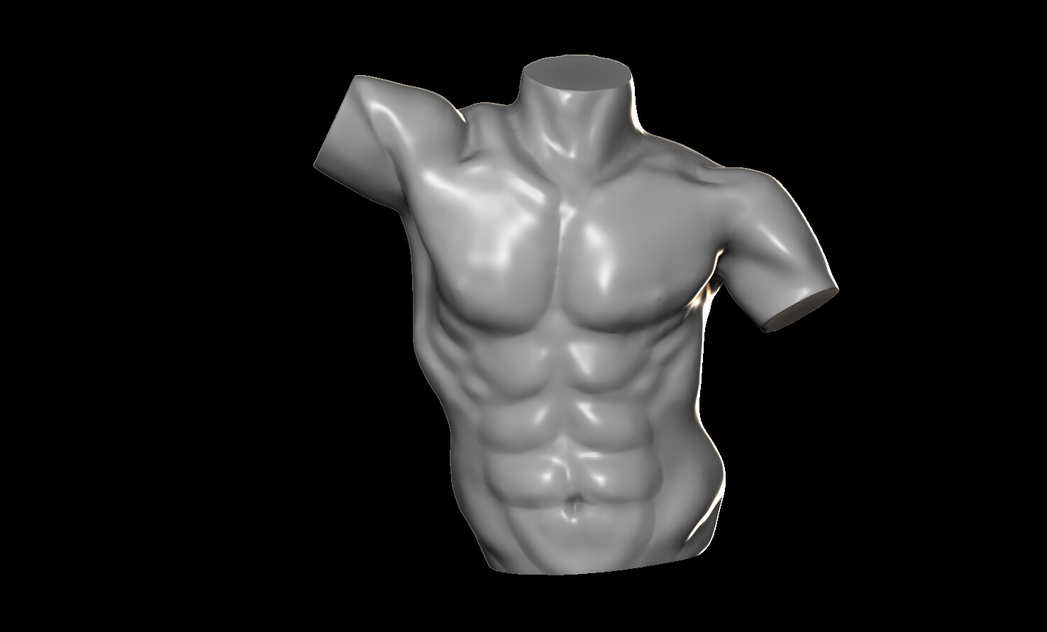 ArtStation - Anatomy study - Torso