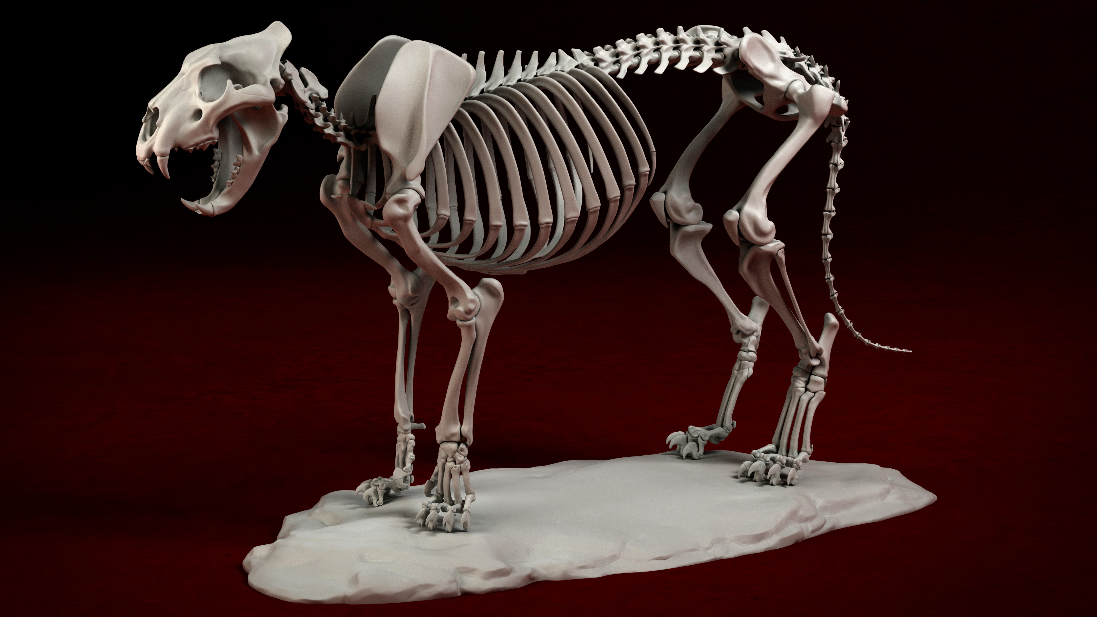lion skeleton system