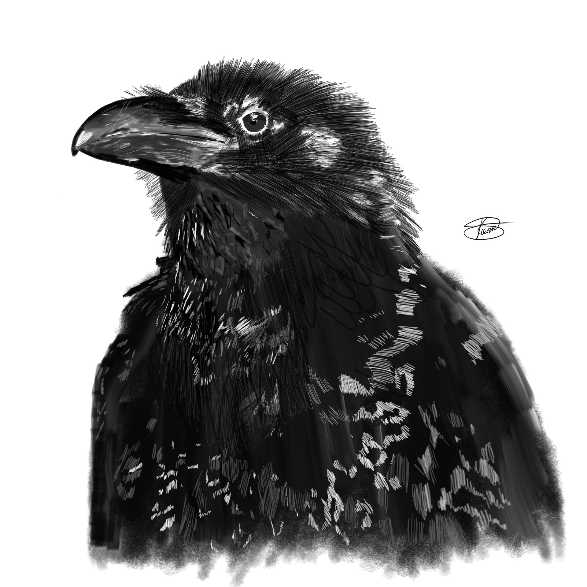 ArtStation - Crow