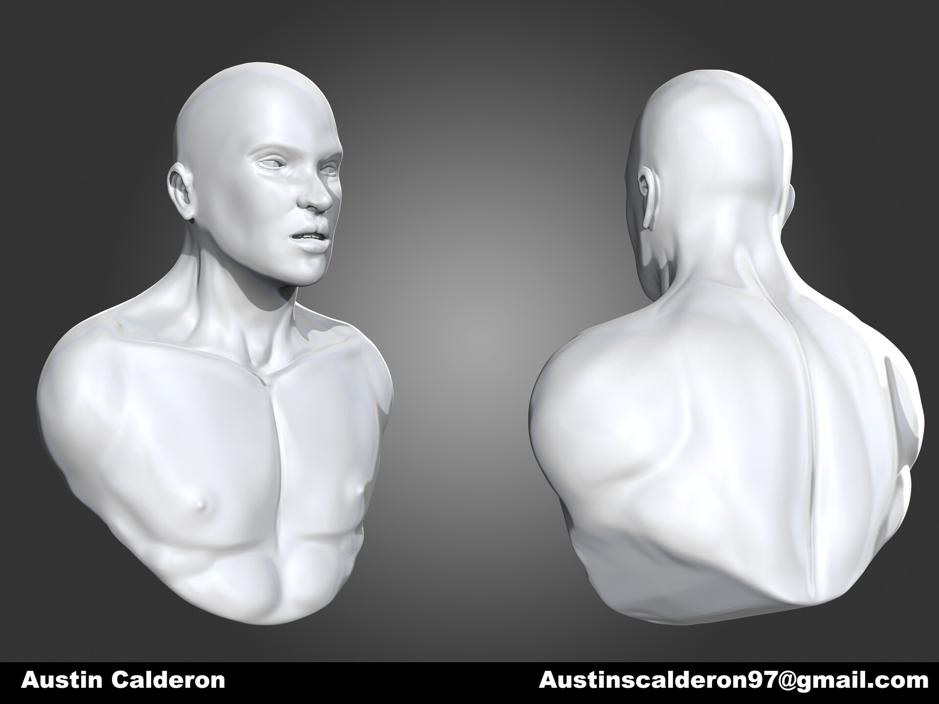 ArtStation - Anatomy Bust