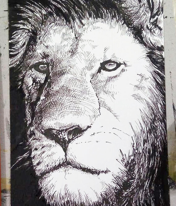 ArtStation - Lion / Inkpen / Brush & Ink