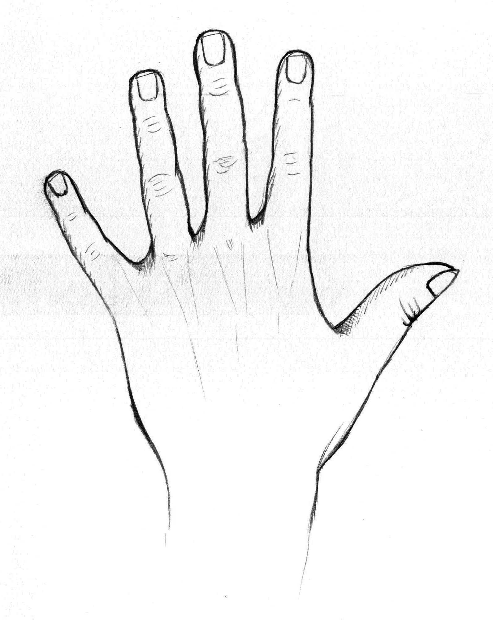 Kendra Cosburn - Arms & Hands Studies