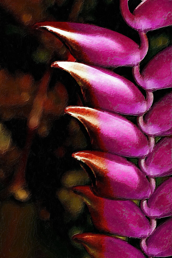 ArtStation - Pink Flower