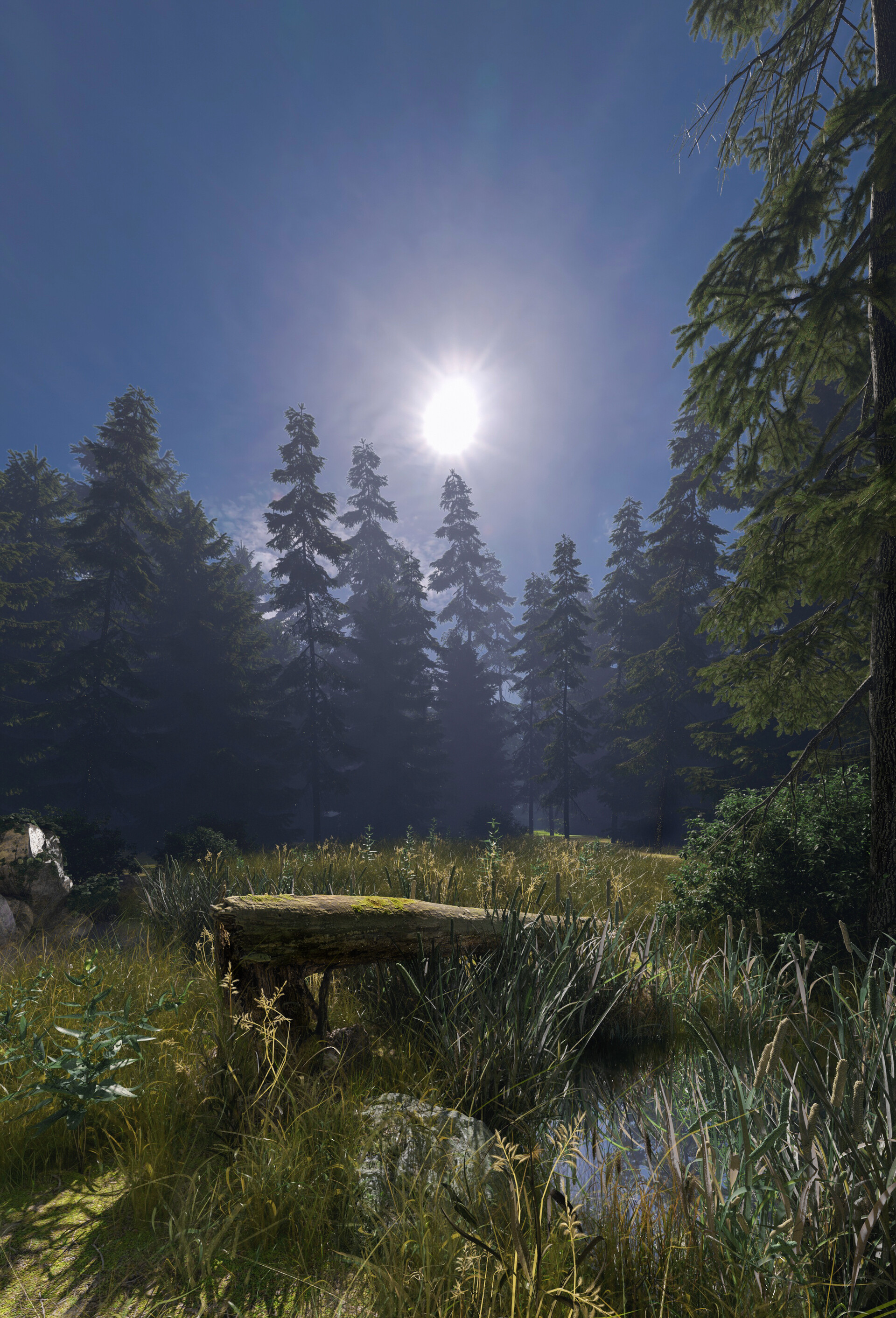 ArtStation - Lush Forest