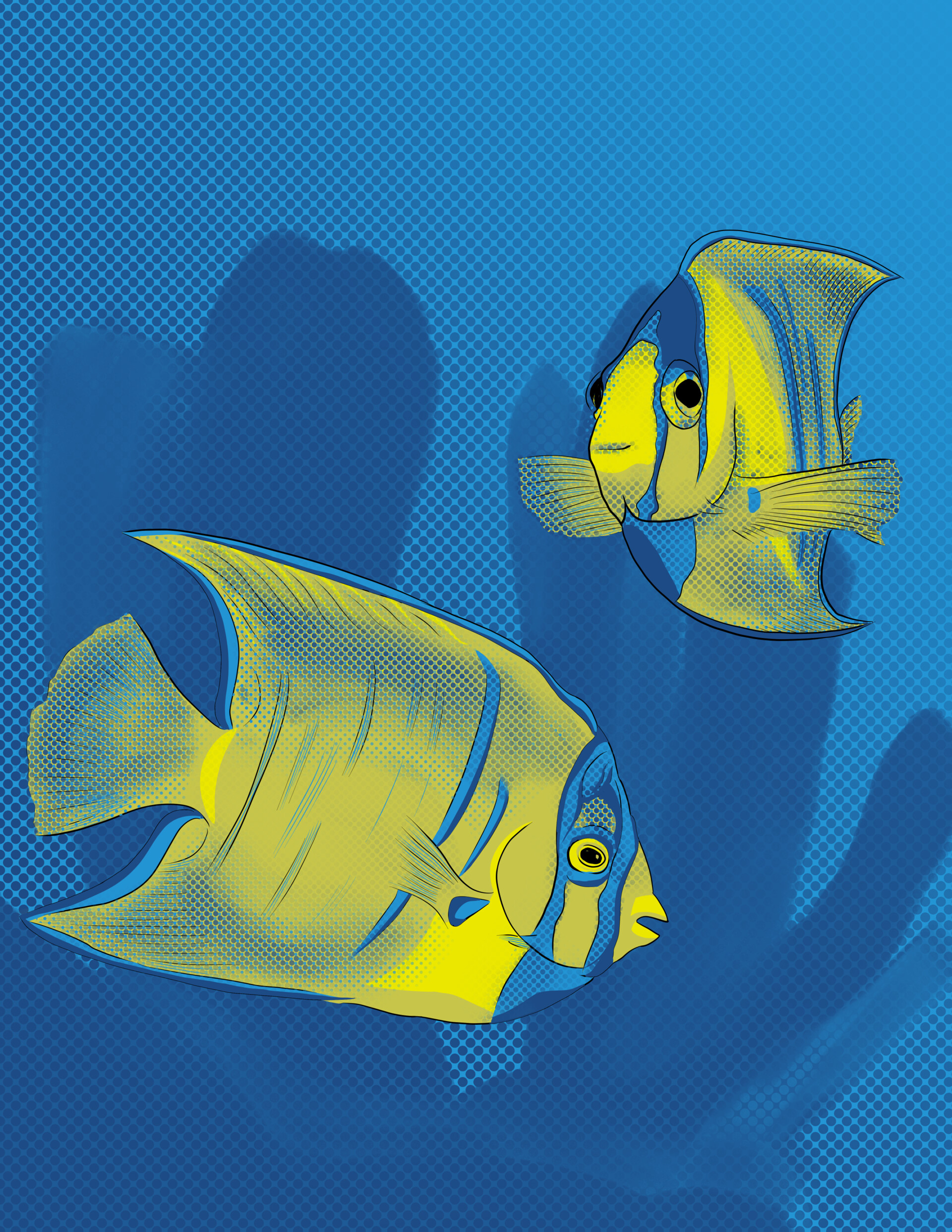 ArtStation - Angelfish