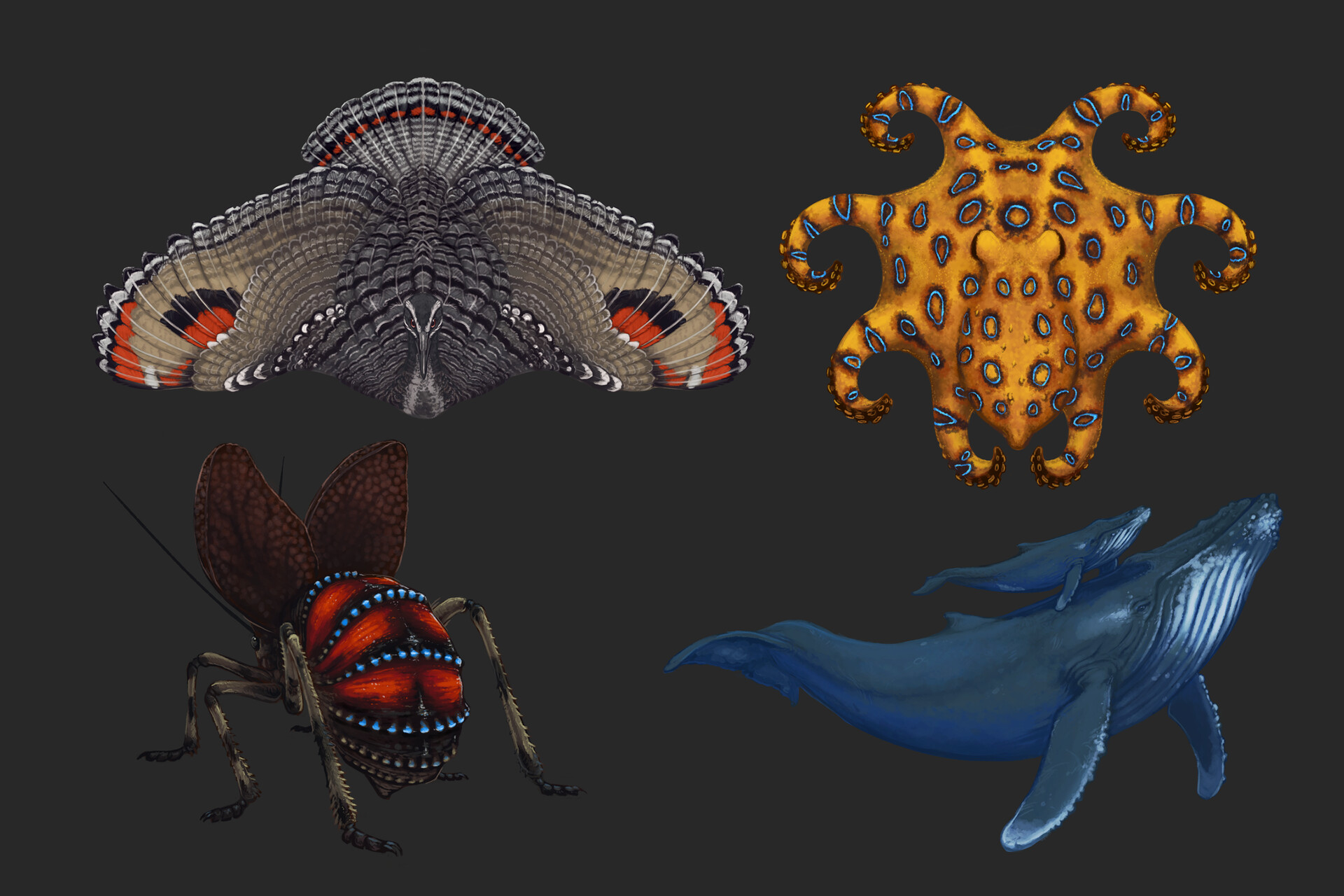 Alex Barley - Disorientation