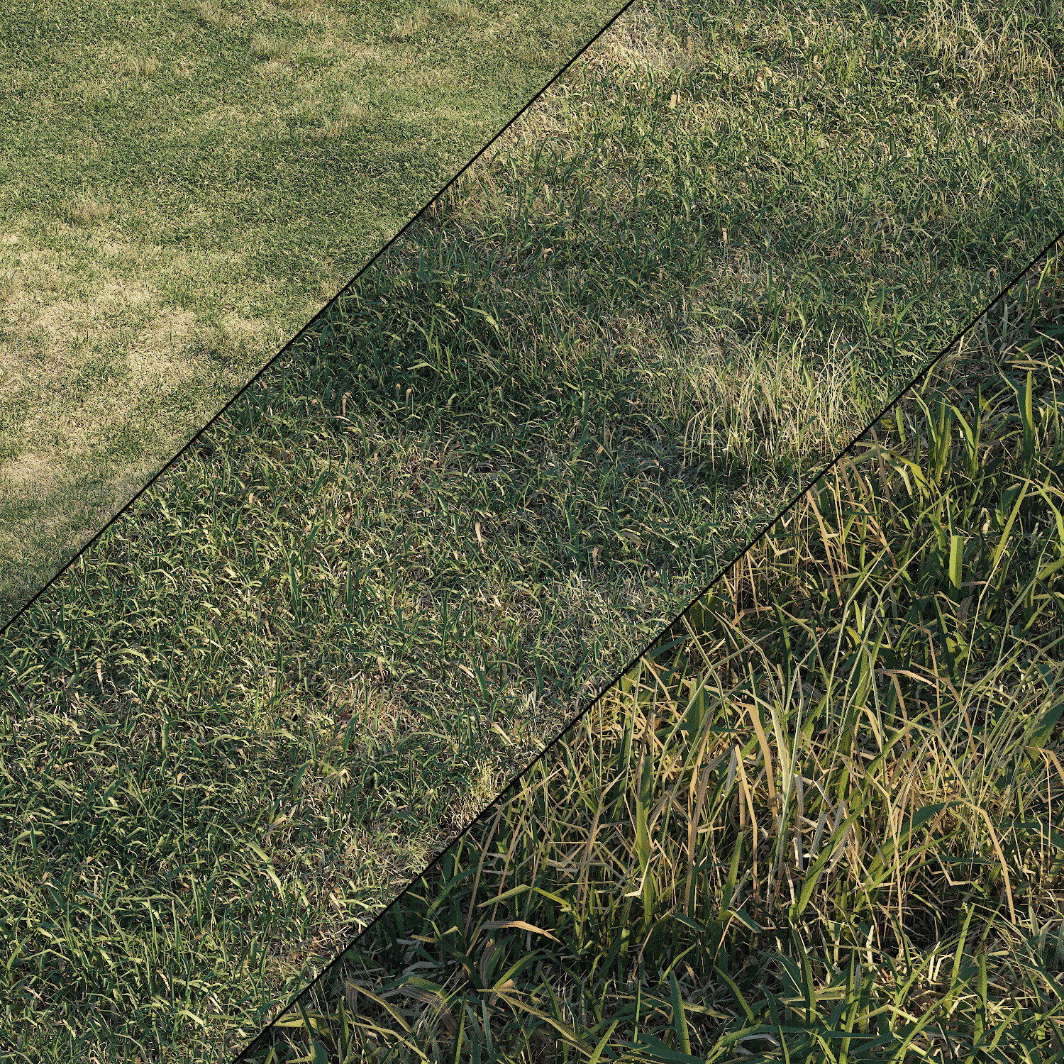 ArtStation - Spring meadow | grass