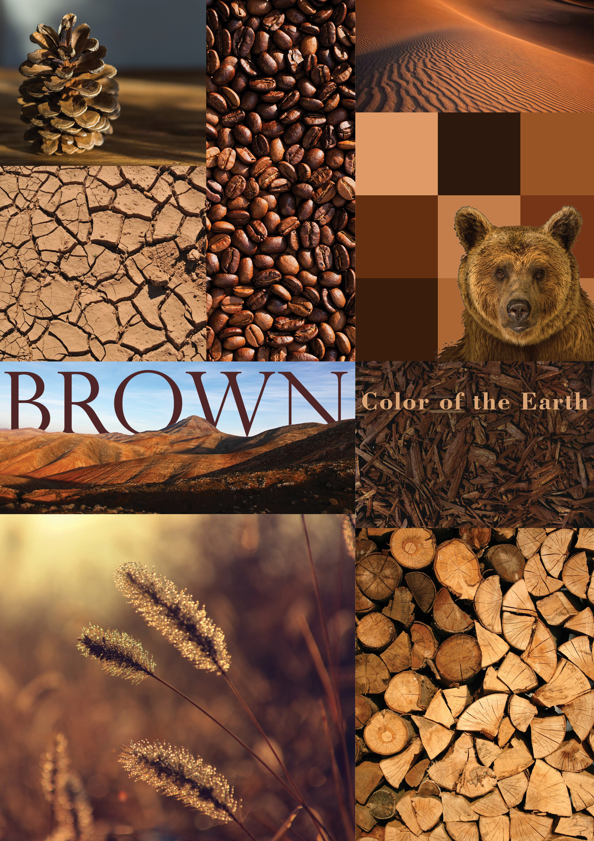 ArtStation - Color Board