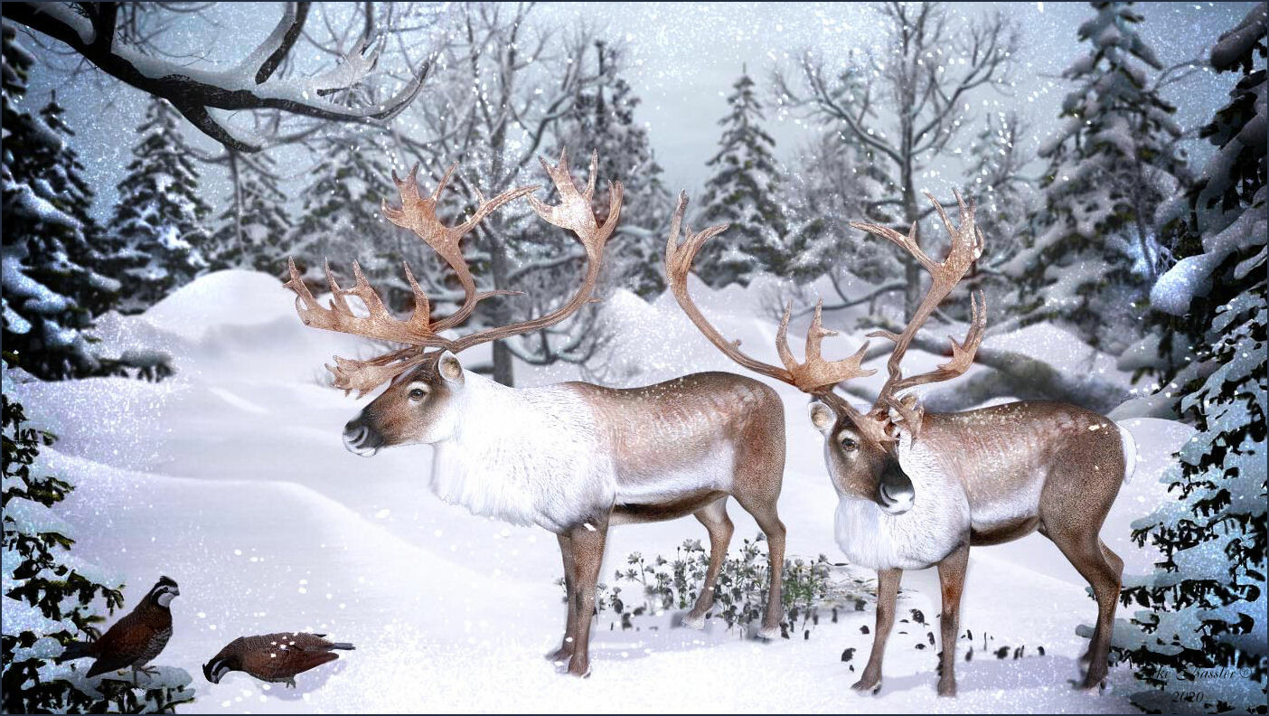ArtStation - Two reindeer in the snow