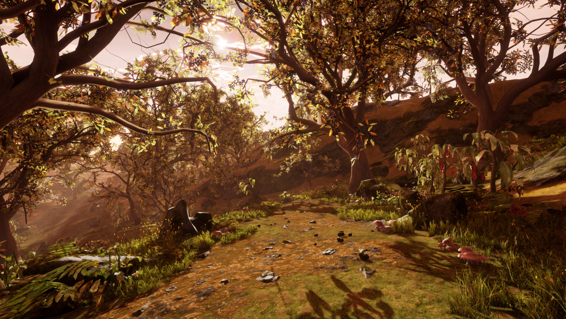 Fifi Johana - Fantasy Forest