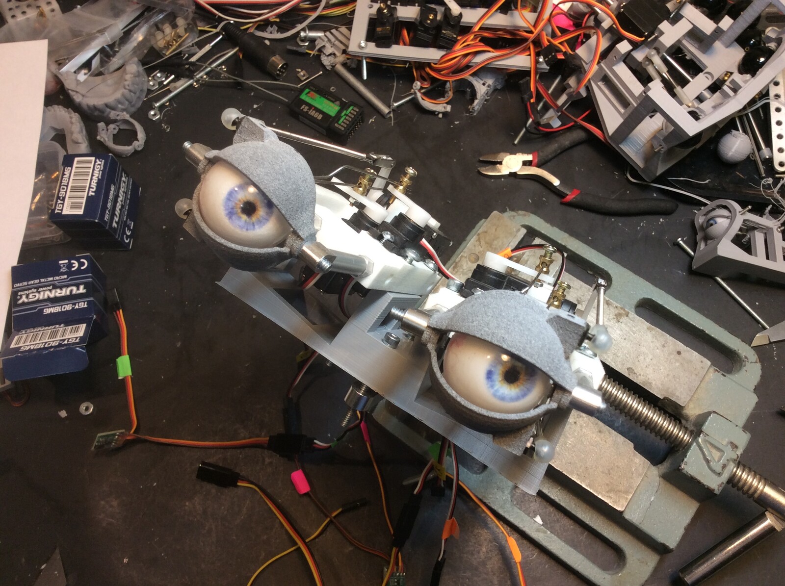 Gary Willett - Animatronic eyes