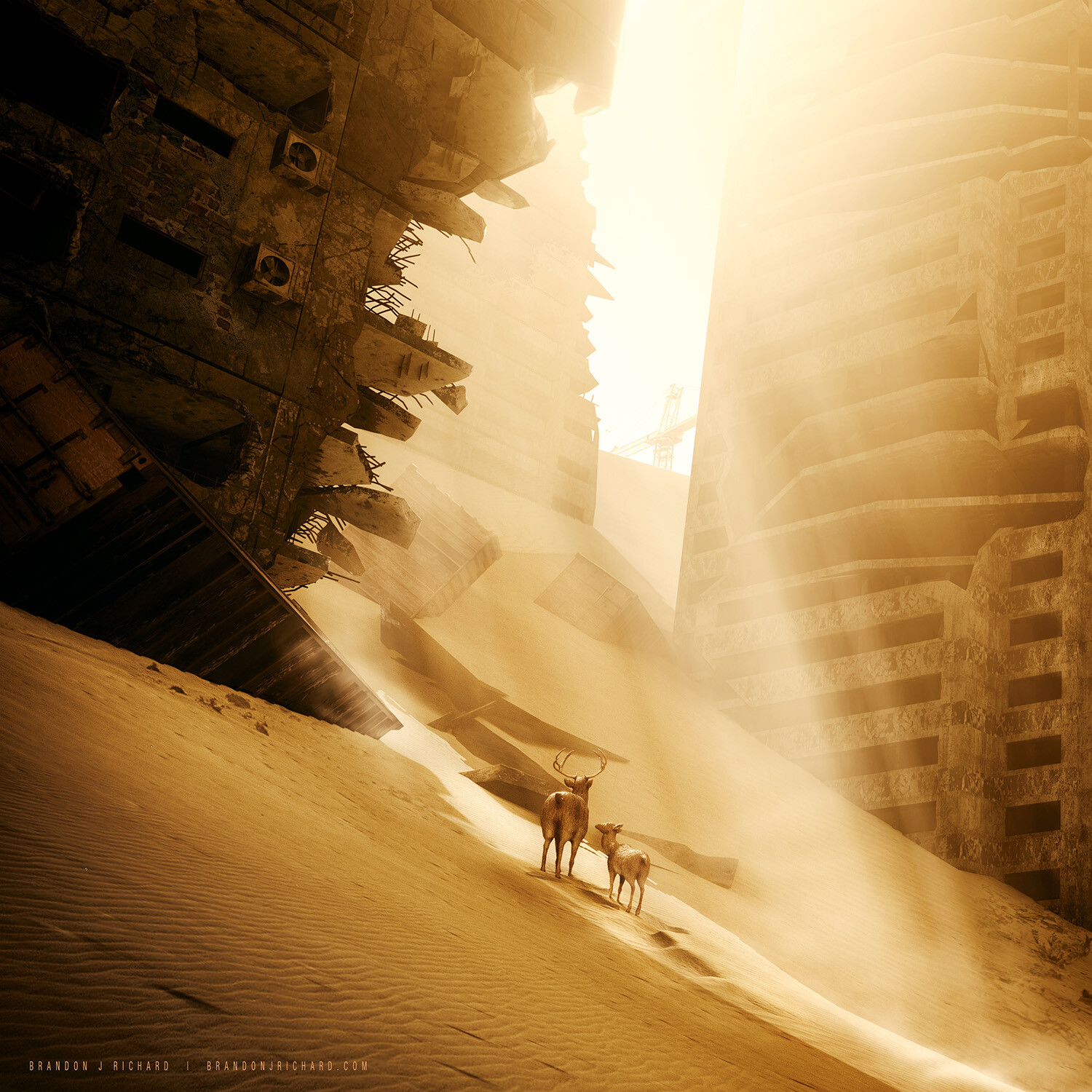 Brandon J Richard - What We Leave Behind