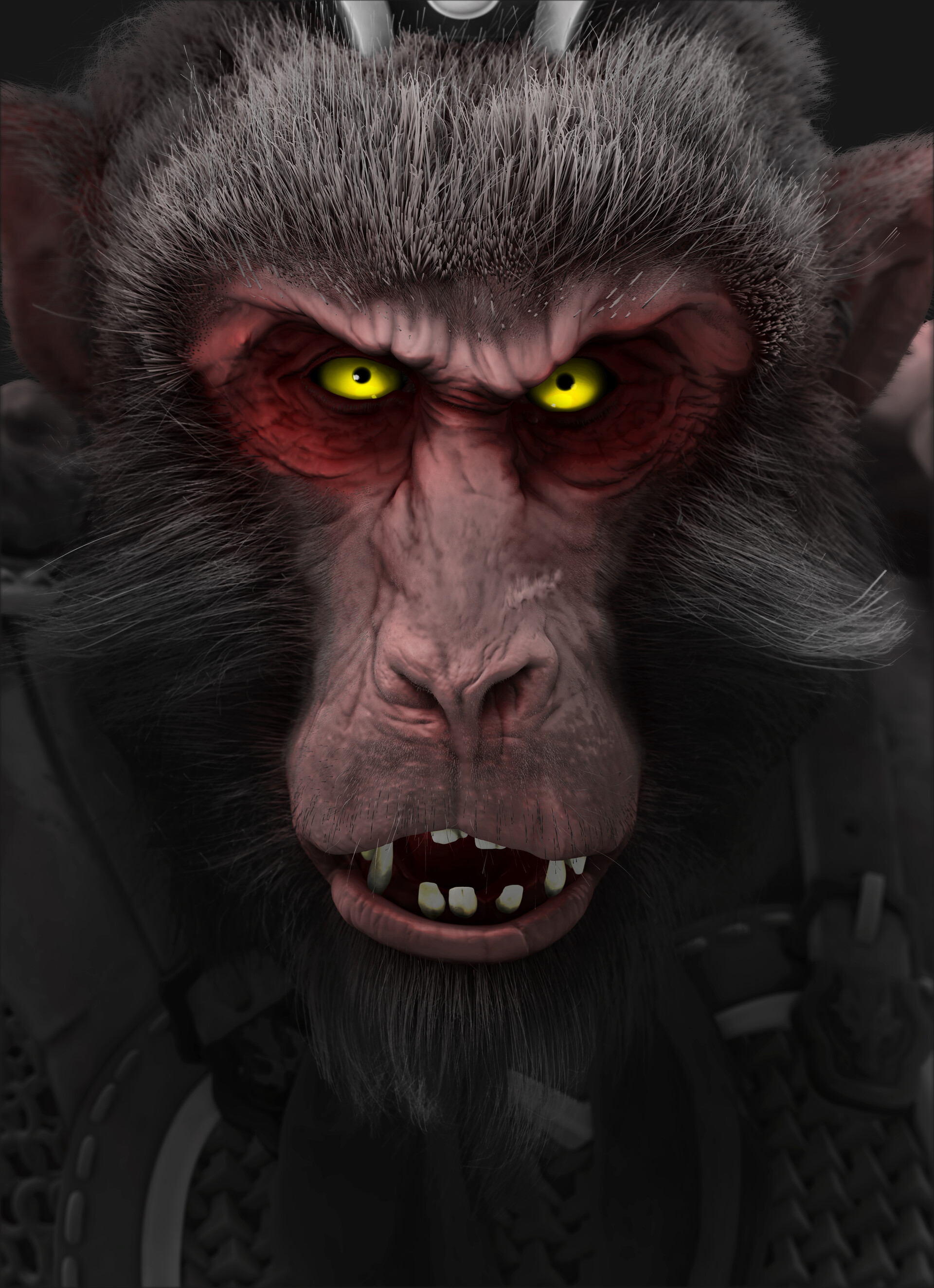 Hoang V Ng - Historically Accurate Monkey King