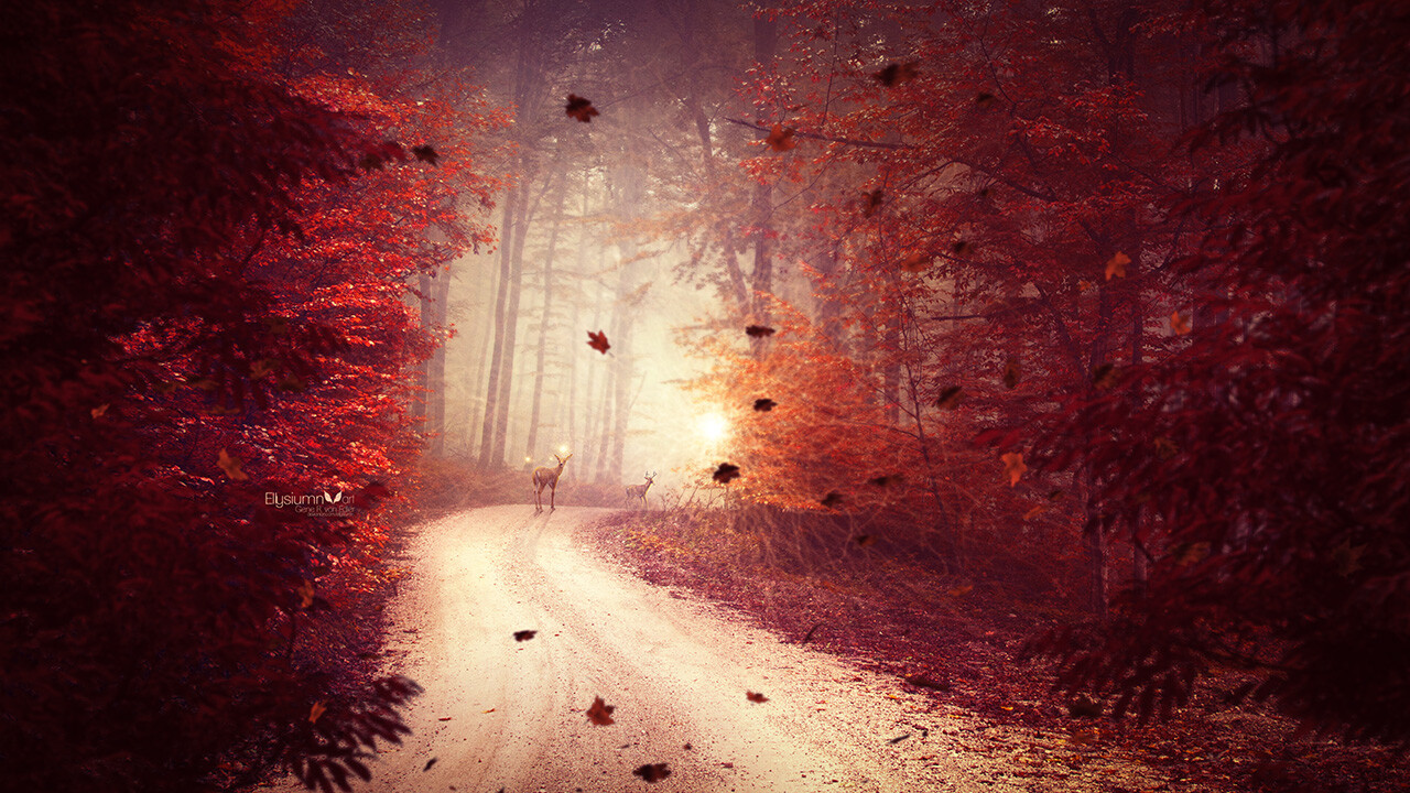 ArtStation - Lights in the forest