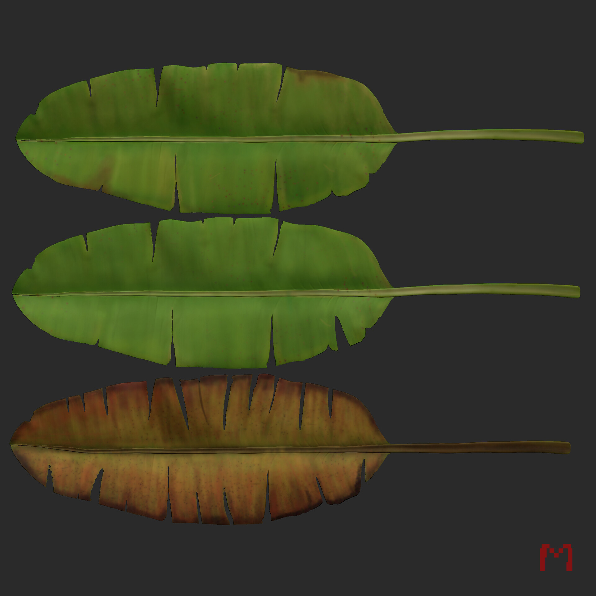 Frozen Planet - Banana Leaf