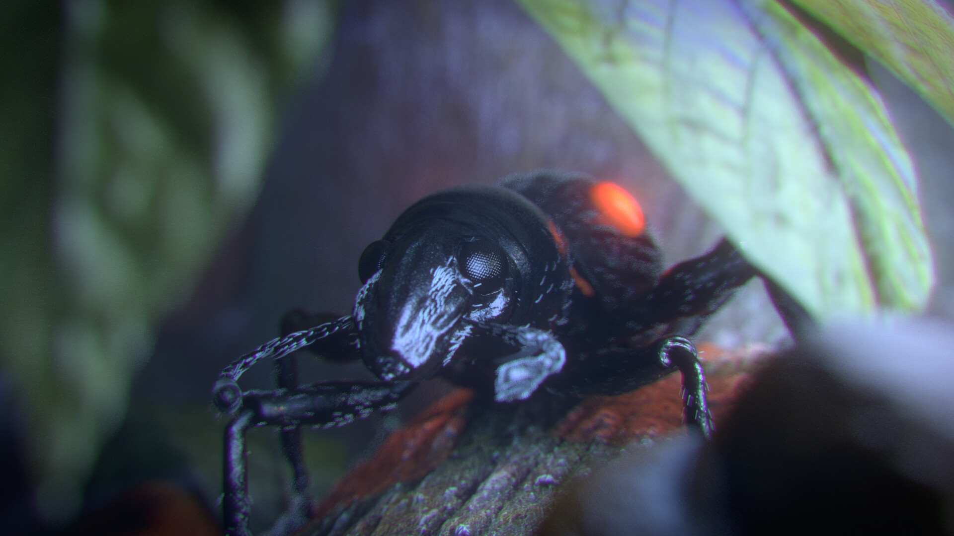 ArtStation - Cacao Weevil project