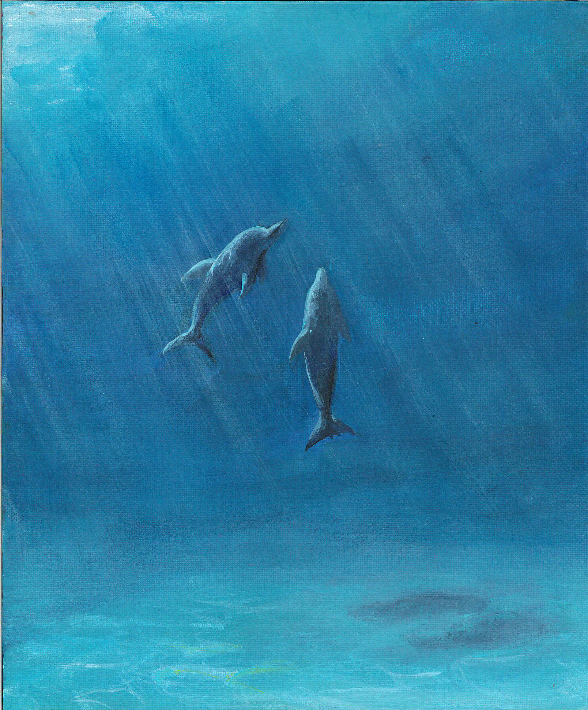 how to draw a dolphin underwater