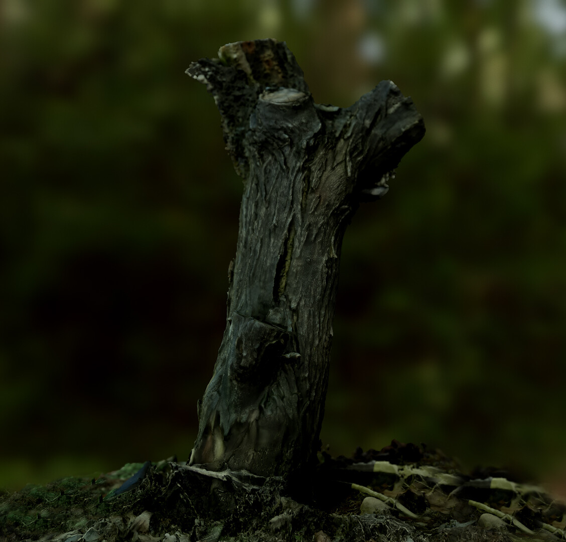 Jonathon Gregory Bick - Photogrammetry: Stumpy Tree