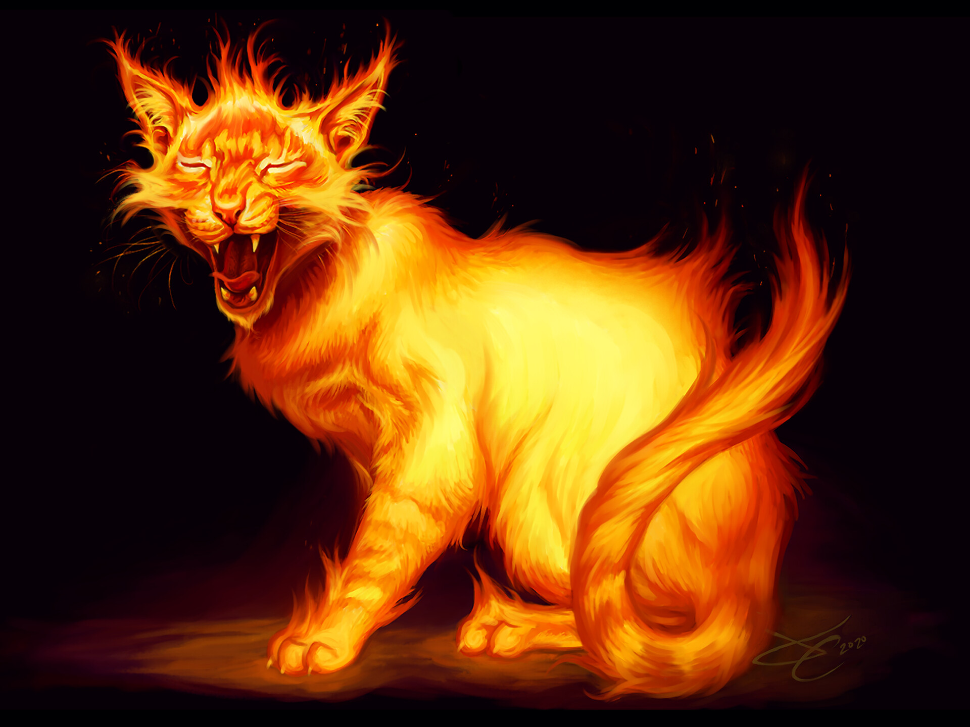 elemental cat