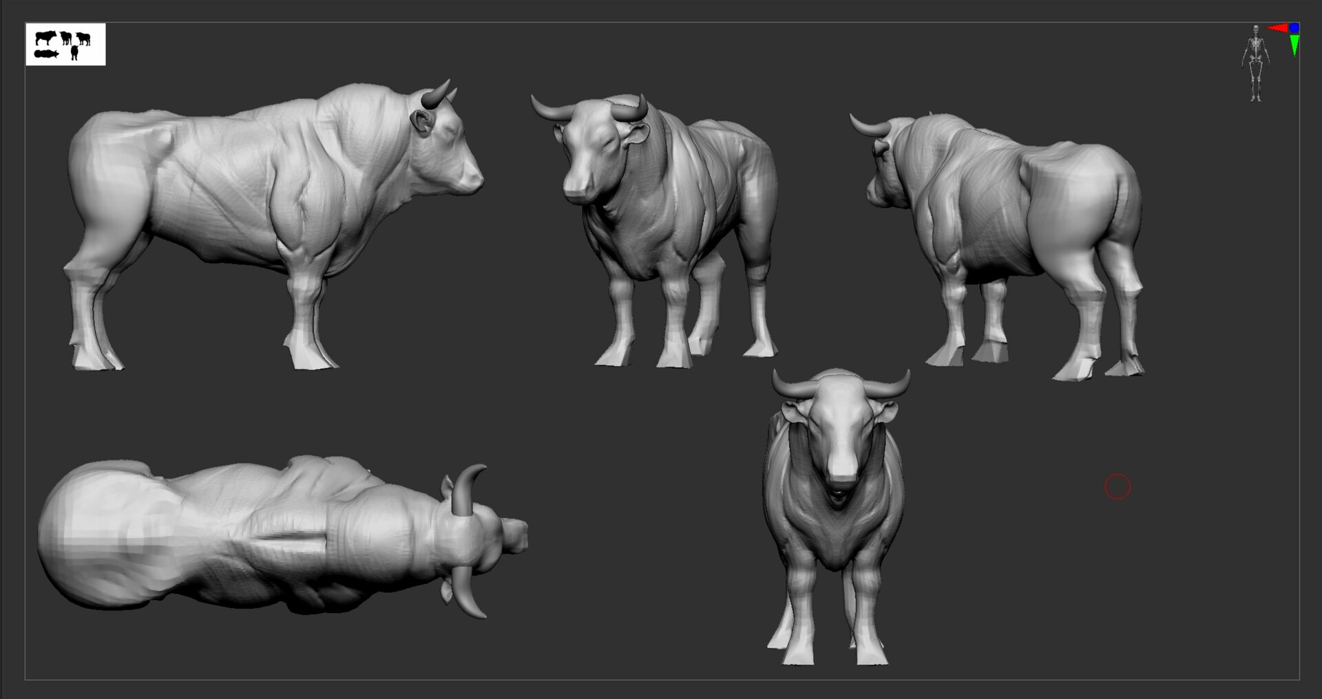 Antonio Arjona - Bull anatomy study