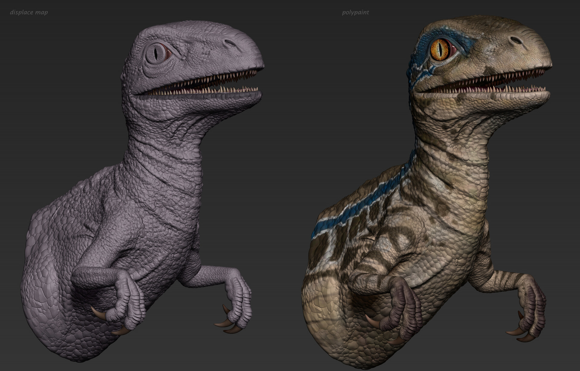 Guga Baraldi - Pet Birthday