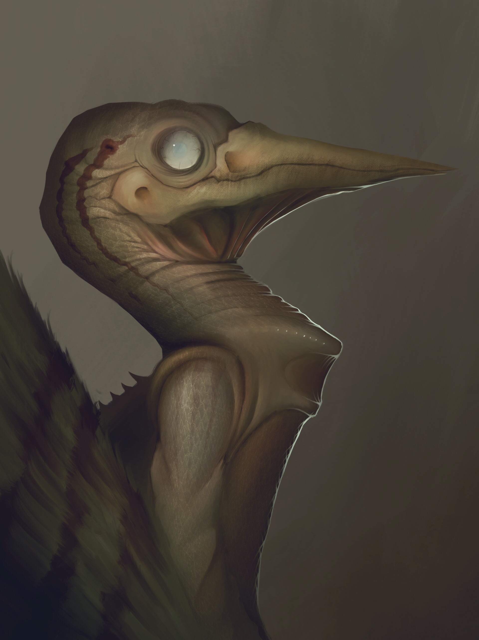 ArtStation - Birdie