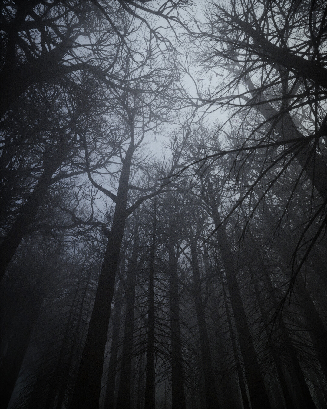 ArtStation - " THE DARK WEEKEND