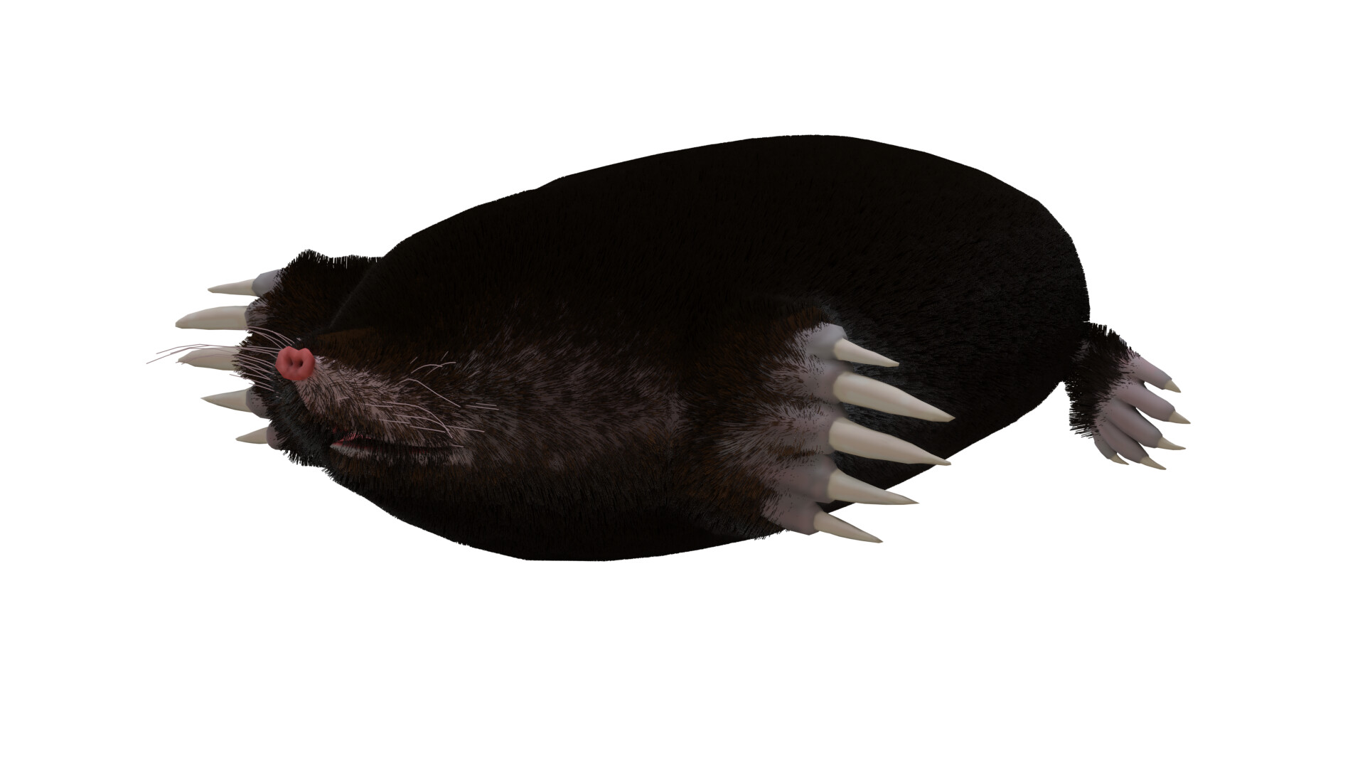 ArtStation - Mole 3D Model