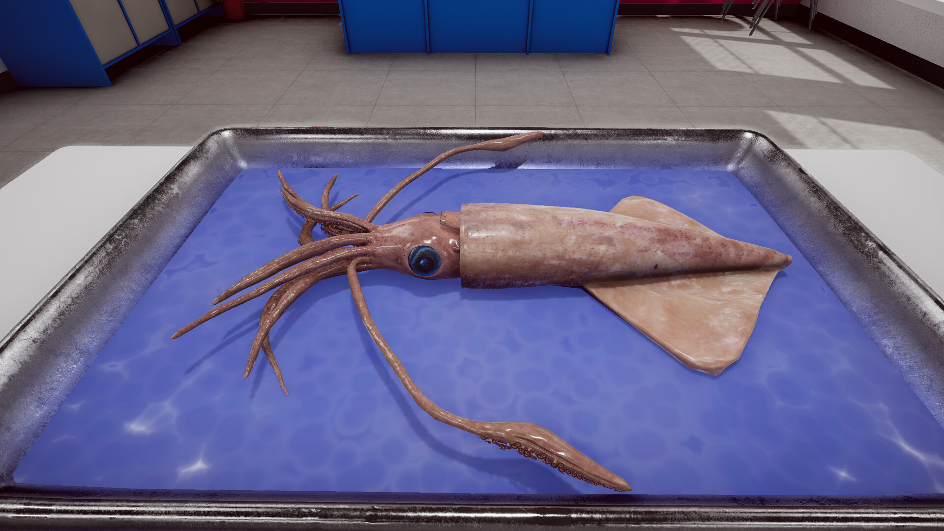 Aaron Hagens - VR Invertebrate Dissection: Invertebrate Investigation