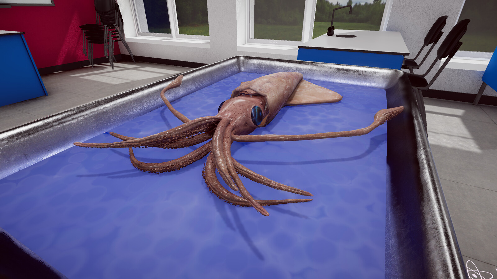 Aaron Hagens - VR Invertebrate Dissection: Invertebrate Investigation