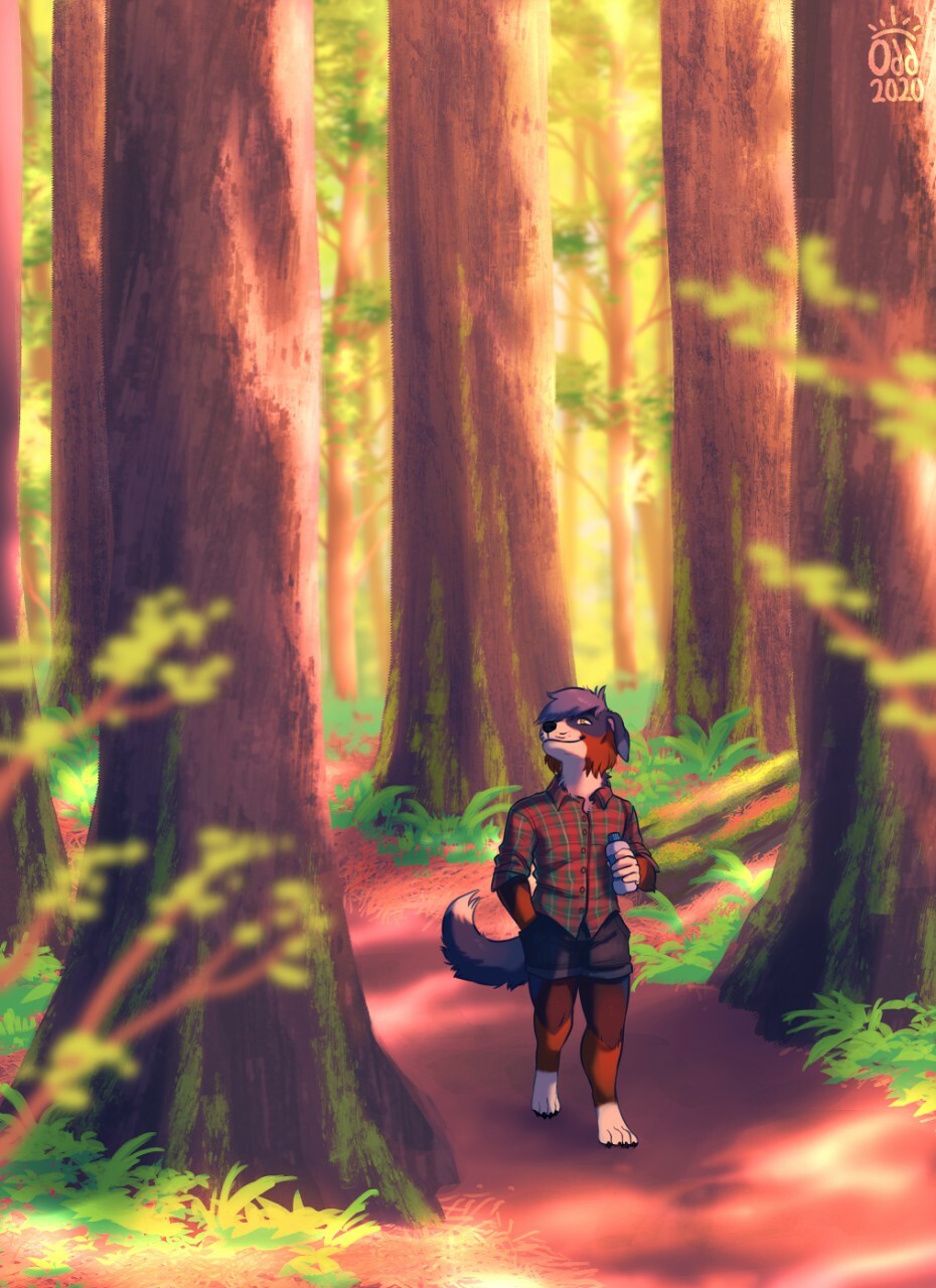 ArtStation - Redwood Forest