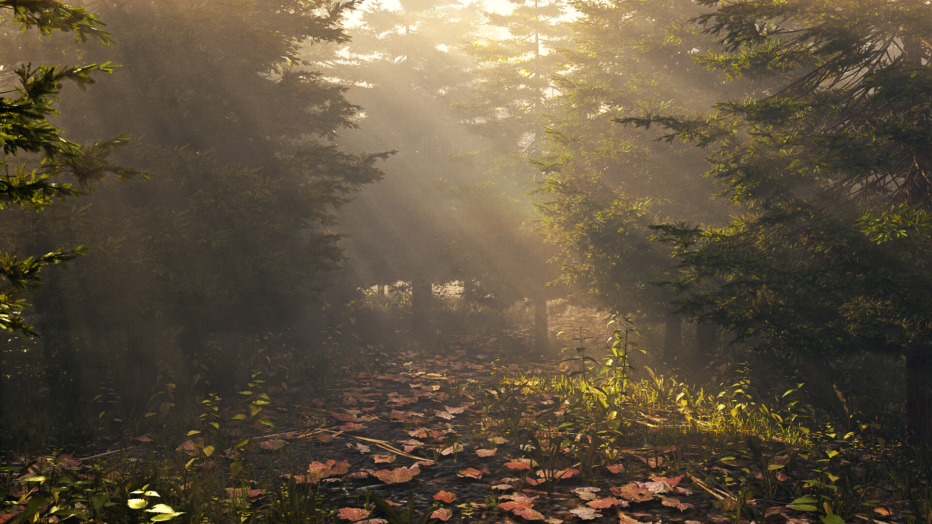 ArtStation - Hidden Path